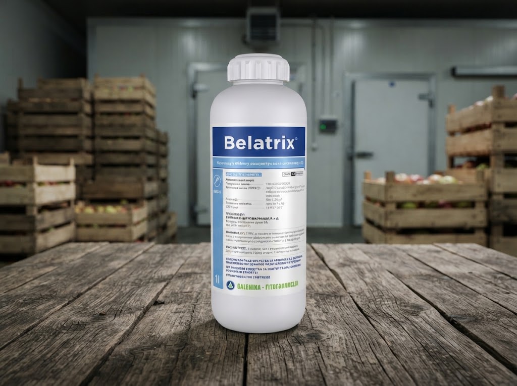 Belatix