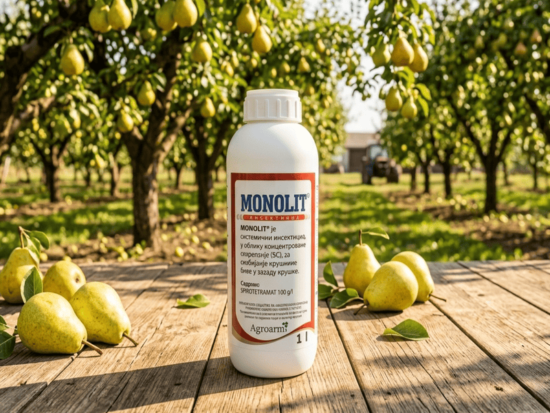 Monolit