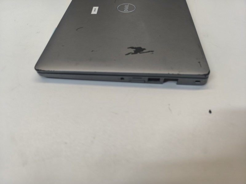 dell 100