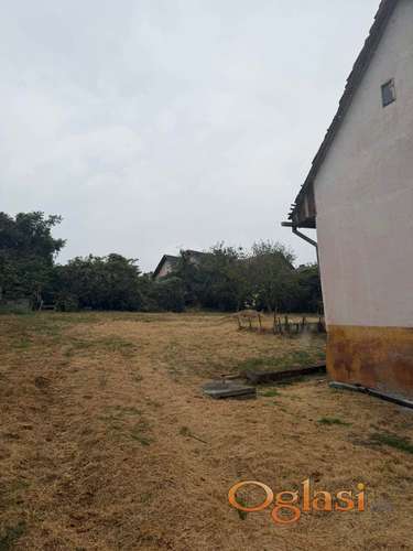 Čerević