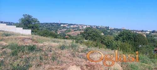 NOVI SAD, ALIBEGOVAC, GRAĐEVINSKI PLAC 1430m2 - 206.000 eura