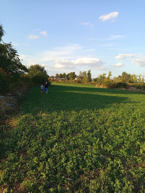 Plac u Pancevu4.8 ari .Građevinsko zemljište – urbanistički