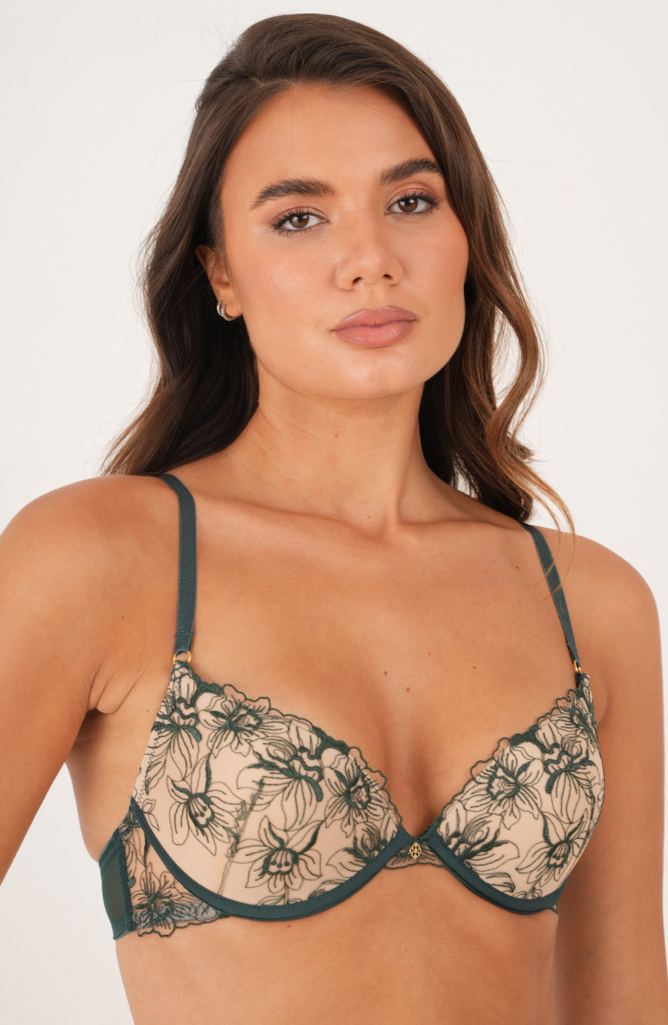 PUSH UP BRUSHALTER CALITHEA
