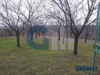 ZVEZDARA Stanojeva livada ID: 96099406