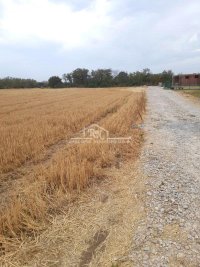 Čukarica, Savska terasa, Stari lanci, 6 ari ID#1706