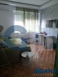 VRACAR Svetozara Markovića-Vračar ID: 9816388