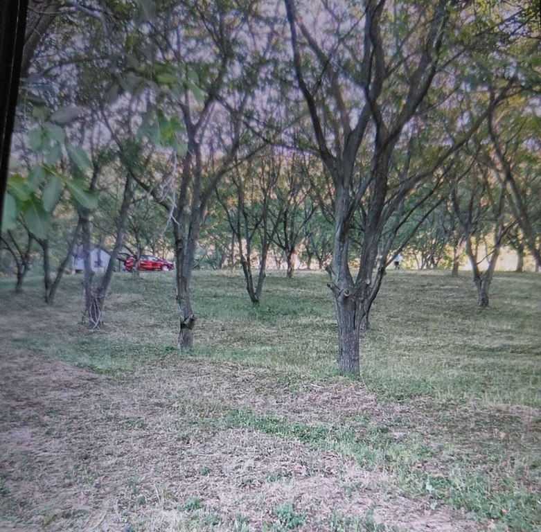 Plac, Novi Sad | Prodaja · 50000m² · 20€
