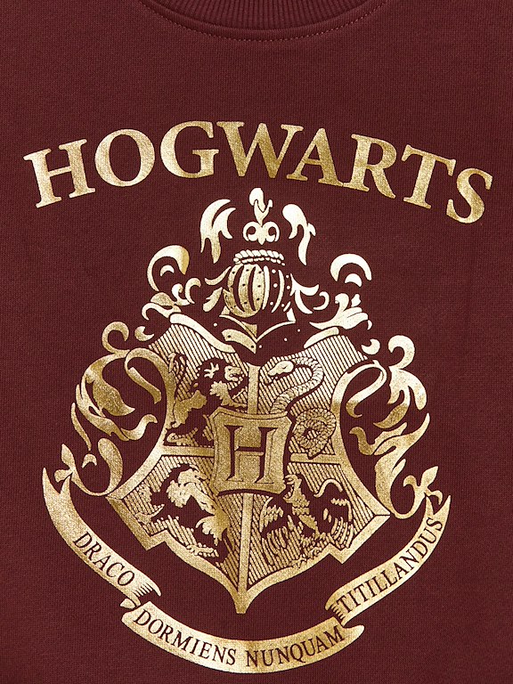 LCW Kids Harry Potter Štampana Dečja Debela Dukserica