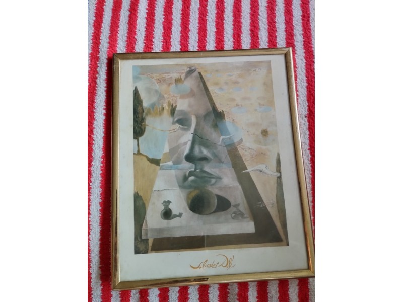 Salvador Dali uramljena slika fotografija 25,5x20,5cm