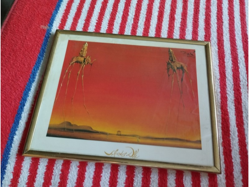 Salvador Dali uramljena slika fotografija 25,5x20,5cm