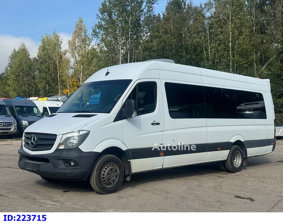 Mercedes-Benz Sprinter 516 turistički autobus