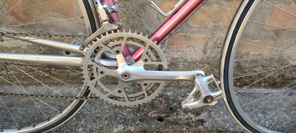 VITUS 979 DURAL FULL CAMPAGNOLO 48X51CM
