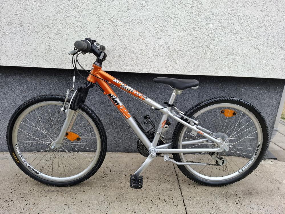 KTM Wild One 24"