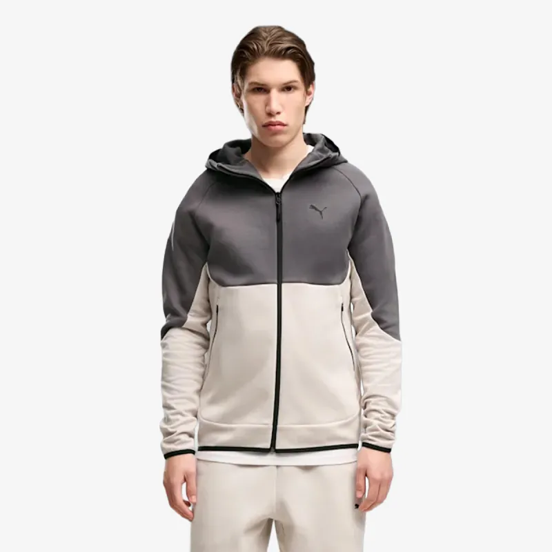 Puma Elevated
