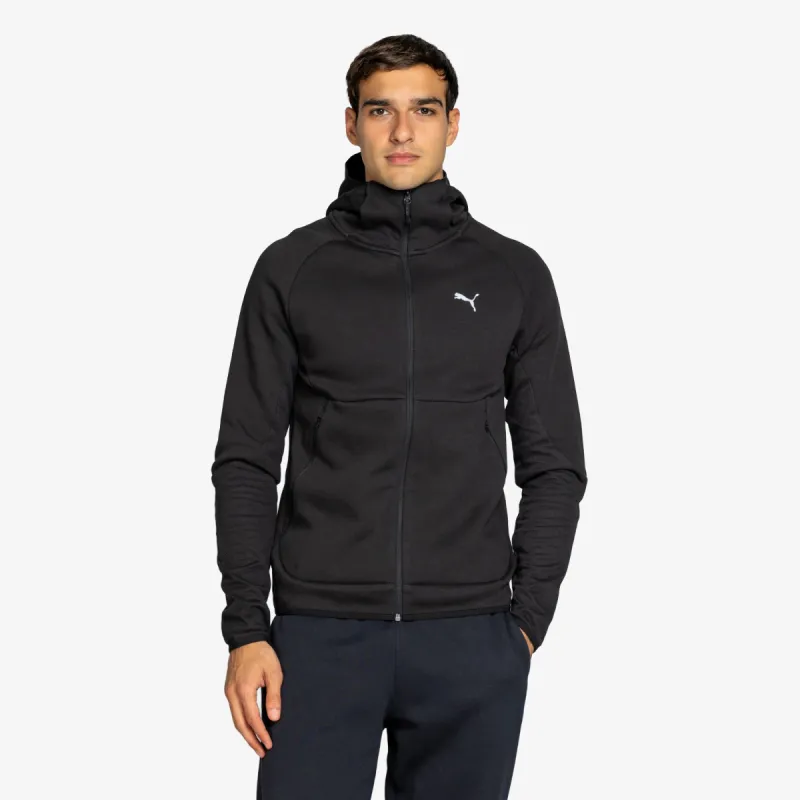 Puma Elevated