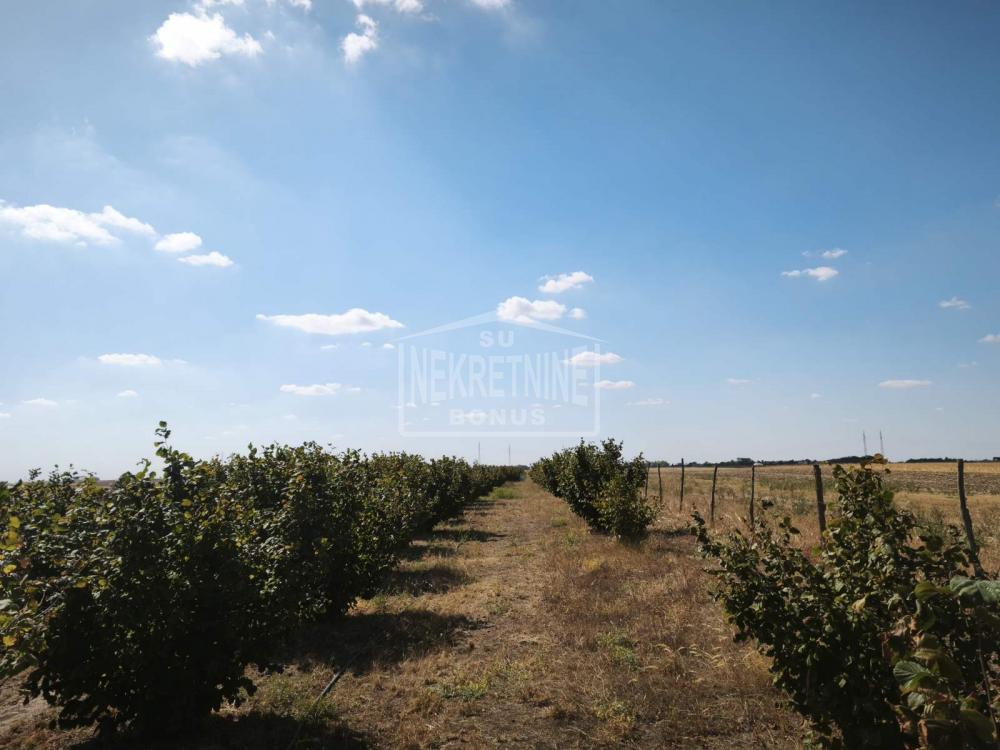 Subotica-Mali Bajmok-plac prem y kraku ID#2264
29.000 €