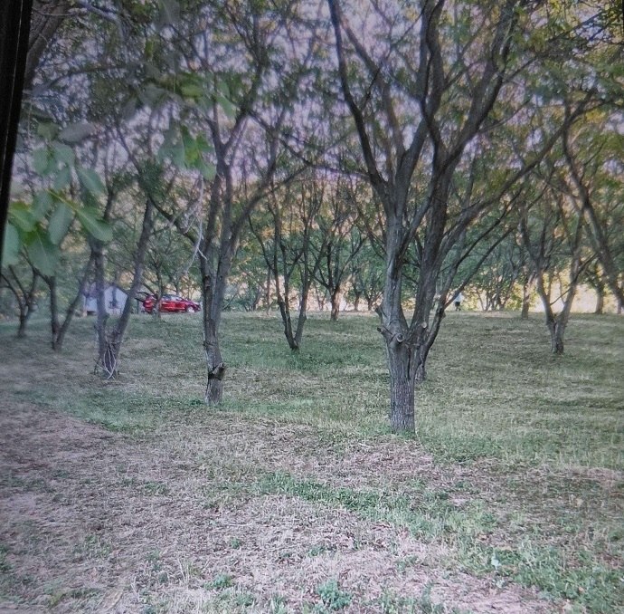 Na obroncima Fruske Gore 5ha zemlje u komadu
20 €
