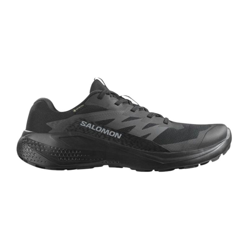 MUŠKE PATIKE SALOMON ALPHAGLIDE GTX