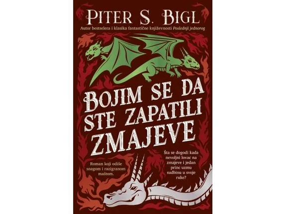 Bojim se da ste zapatili zmajeve - Piter S. Bigl