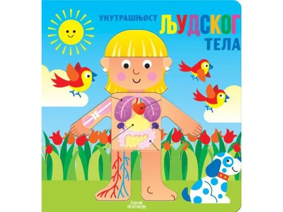 Unutrašnjost ljudskog tela - Hordi Buskets