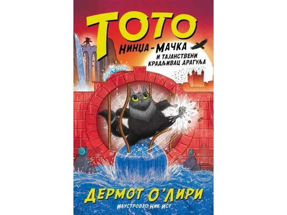 Toto nindža-mačka i tajanstveni kradljivac dragulja - Dermot O'Liri
