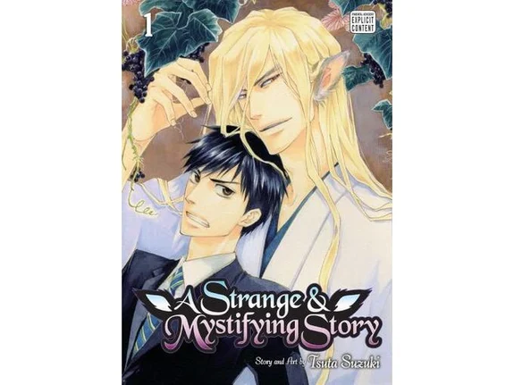 A Strange and Mystifying Story, Vol. 1 - Tsuta Suzuki
