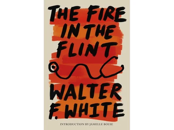 The Fire in the Flint - Walter F White