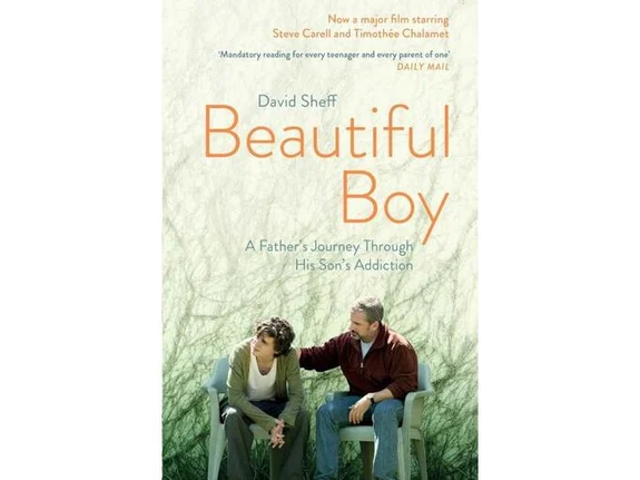 Beautiful Boy - David Sheff