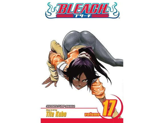 Bleach Vol. 17 - Tite Kubo