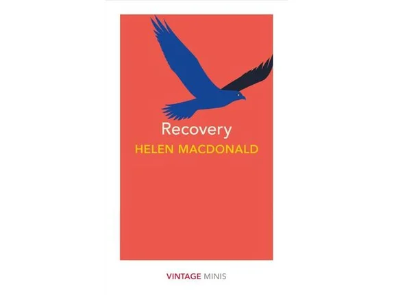 Recovery: Vintage Minis - Helen Macdonald