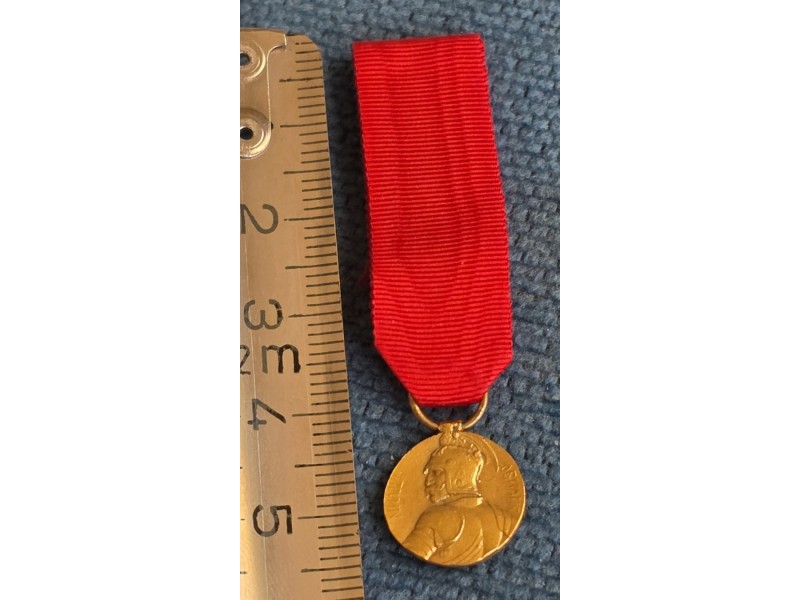 ZLATNA MINIJATURA MILOSA OBILICA PERFEKTNA