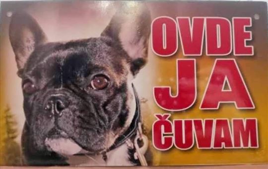 Čuvanje ljubimaca kod vas Beograd