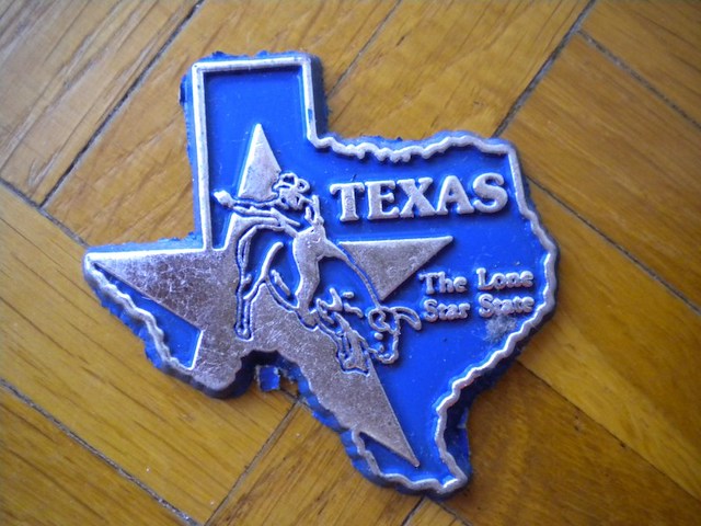TEKSAS Texas USA The Lone Star State magnet za frizider