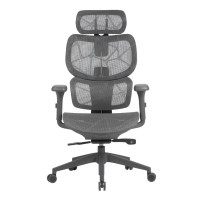 Spawn Ergo Meshy Grey