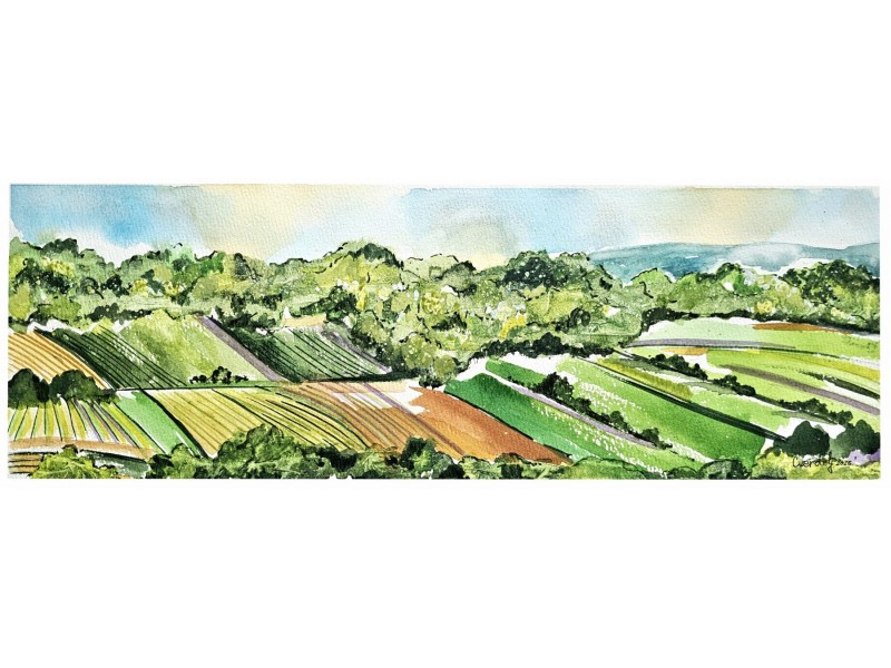Fruška Gora, akvarel, sertifikat
