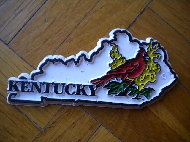 KENTAKI Kentucky USA, magnet za frizider