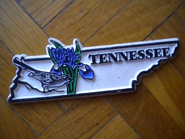 TENESI Tennessee USA, magnet za frizider