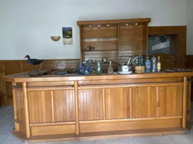 ŠANK, VITRINA, RASHLADNA VITRINA I LUSTER