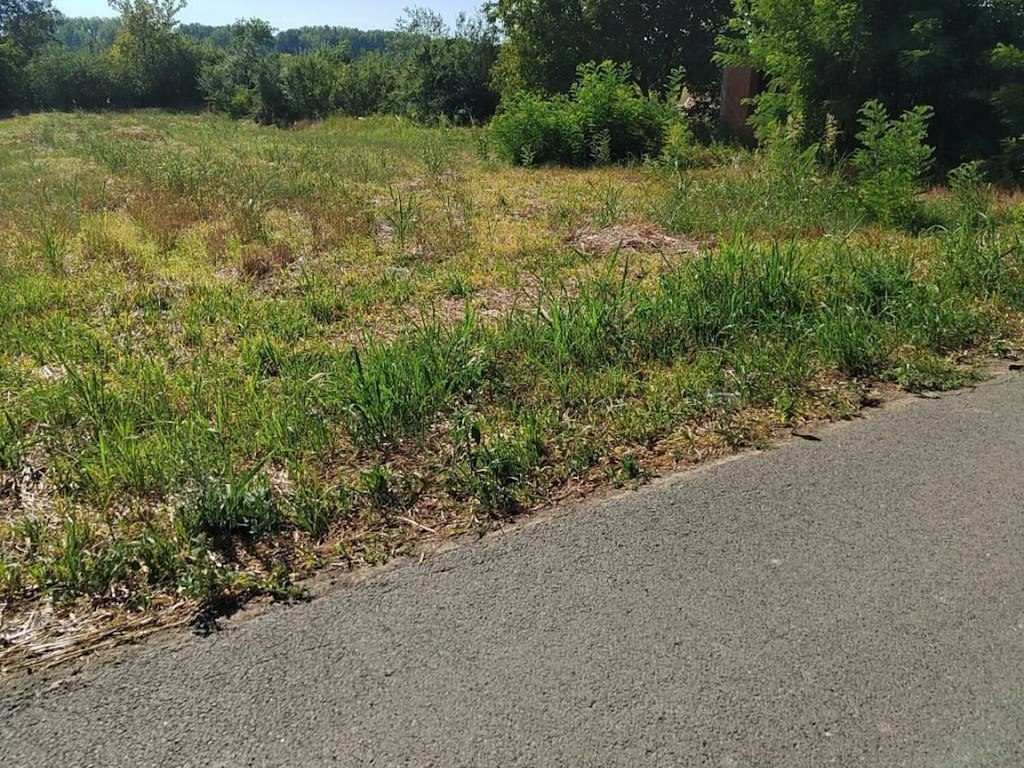 Plac, Beograd – Besni Fok | Prodaja · 1686m² · 50.000€