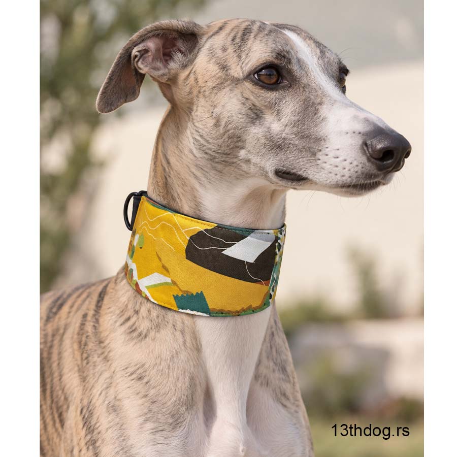 13th Dog anatomska ogrlica za hrtove - Whippet i Greyhound