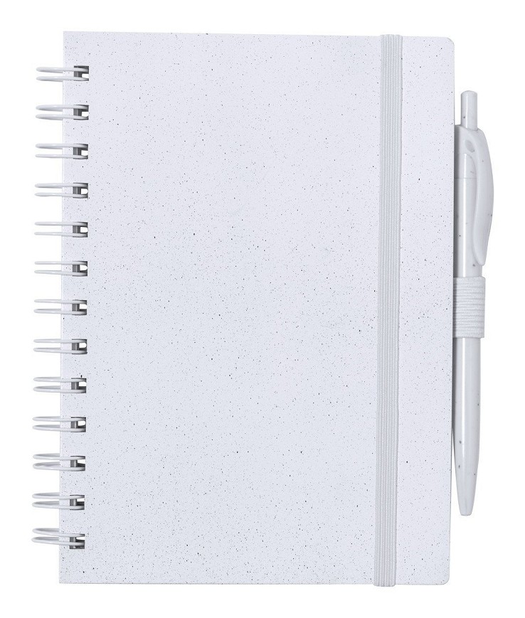 Ciara RABS notebook