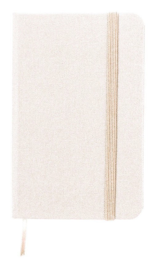 Pushkin notebook