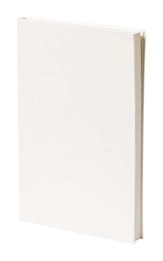 Rebrick notes
