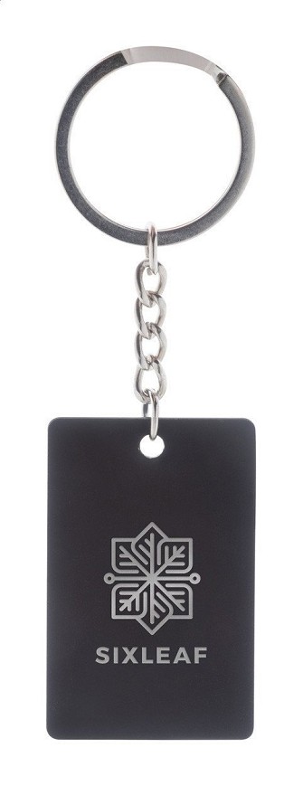 RectoShine keyring