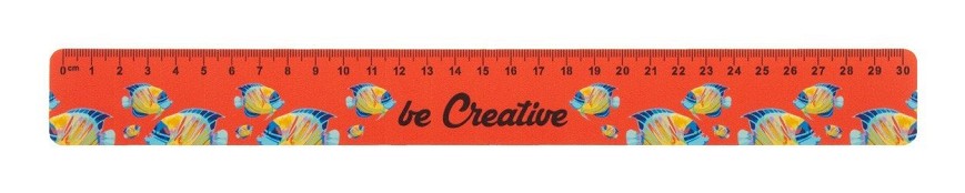 Drawy 30 custom ruler, 30 cm
