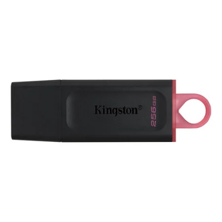 Kingston usb flash DTX/256GB ( KIN080 )