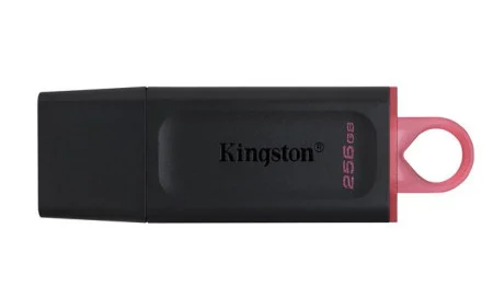 Kingston USB flash UFD 256GB DTX KIN ( 0001204552 )