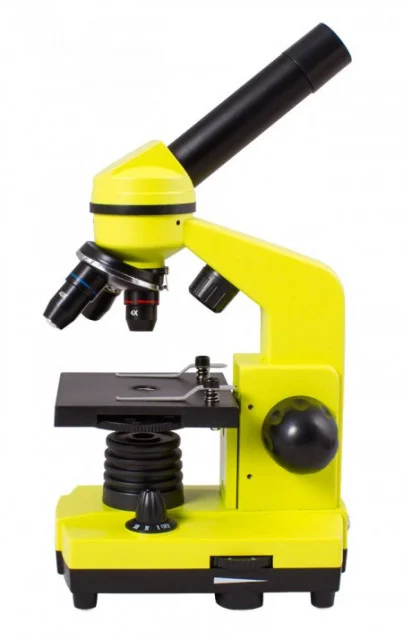 Levenhuk mikroskop rainbow 2L lime ( le69063 )
