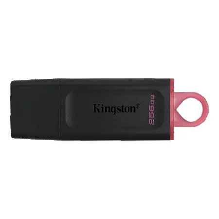 Kingston dtx/256gb usb3.2 Flashdrive 256gb ( 20541 )