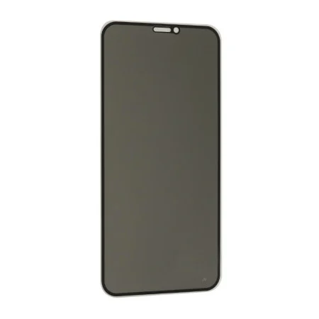 Folija za zastitu ekrana glass privacy 2.5d full glue za iphone xr/11 crna ( FL8647 )